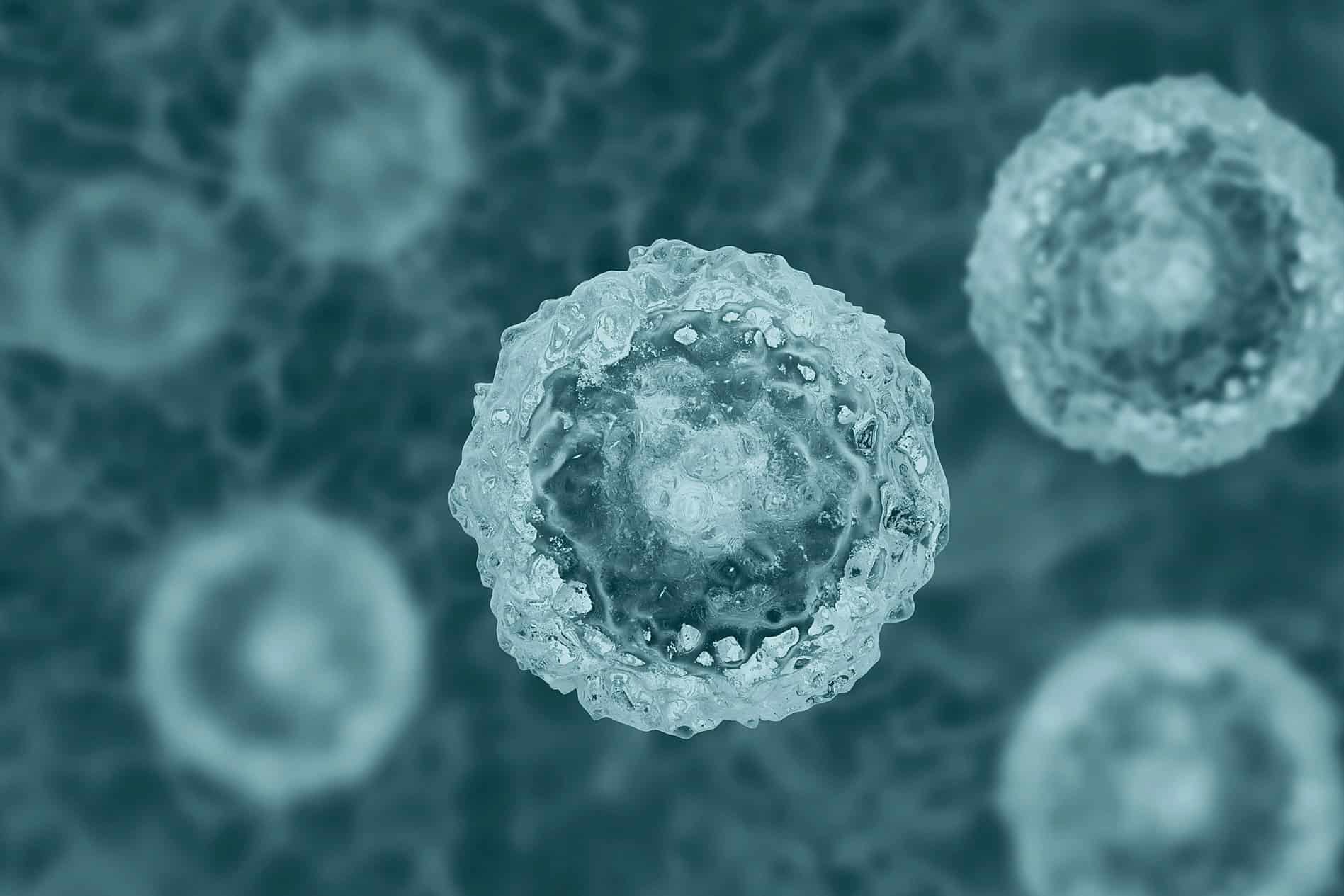 The Difference Between Autologous & Allogeneic Stem Cells | R3 Health